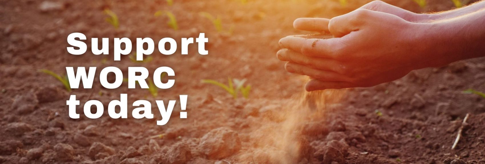 WORC