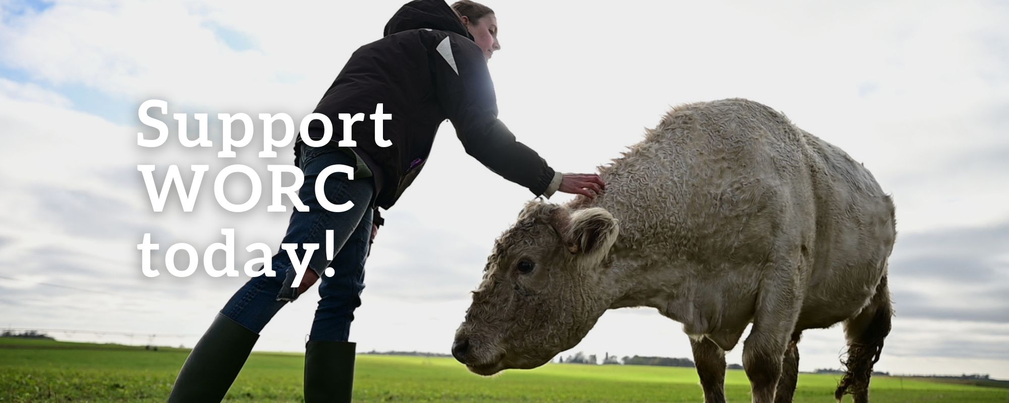 2022 WORC year in review - WORC